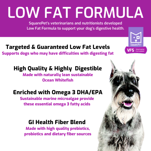 VFS® Low Fat Formula | Low Fat Dog Food – SquarePet